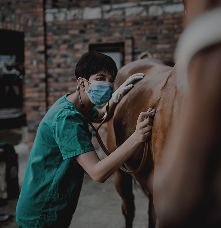 Assurance pour les professionnels - Gan.fr